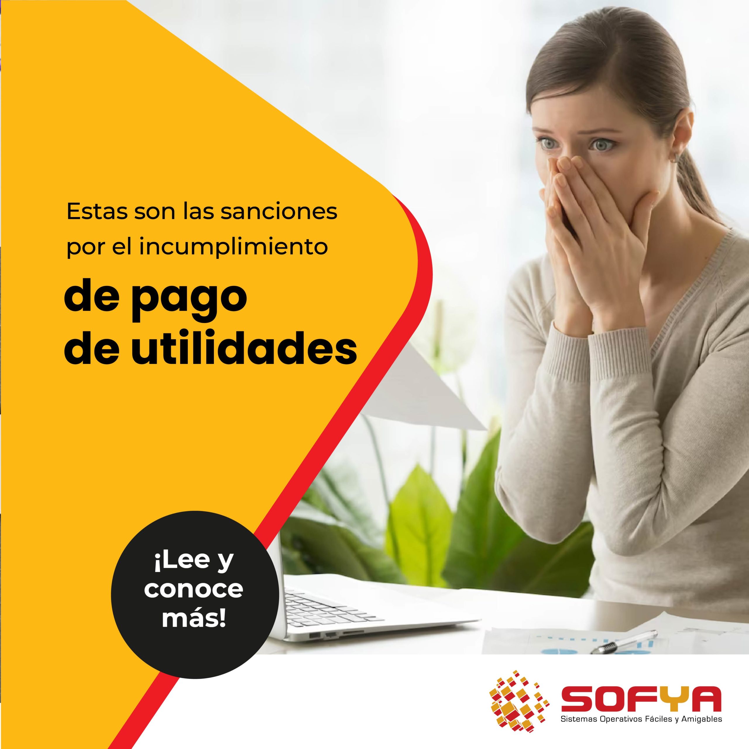 Estas son las sanciones por el incumplimiento de pago de utilidades – SOFYA